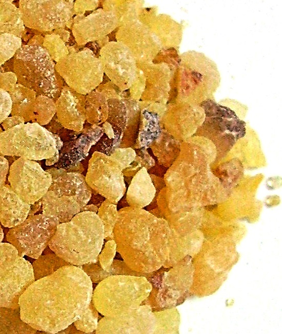 frankincense, Boswellia sacra tree resin