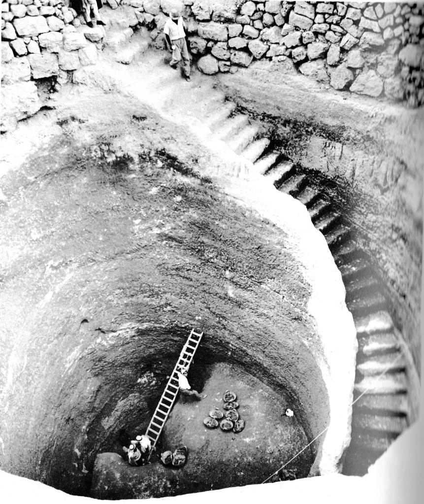 Chayei Sarah: Rebecca’s Camel – Questioning Torah