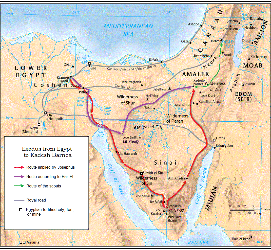 Shelach-Lekha: Reminder – Questioning Torah